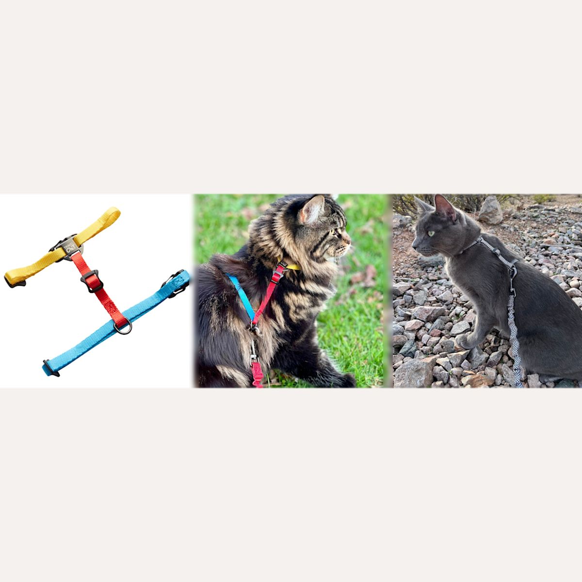 "The Day Tripper" Adjustable H-Style Cat Harness & Bungee Leash
