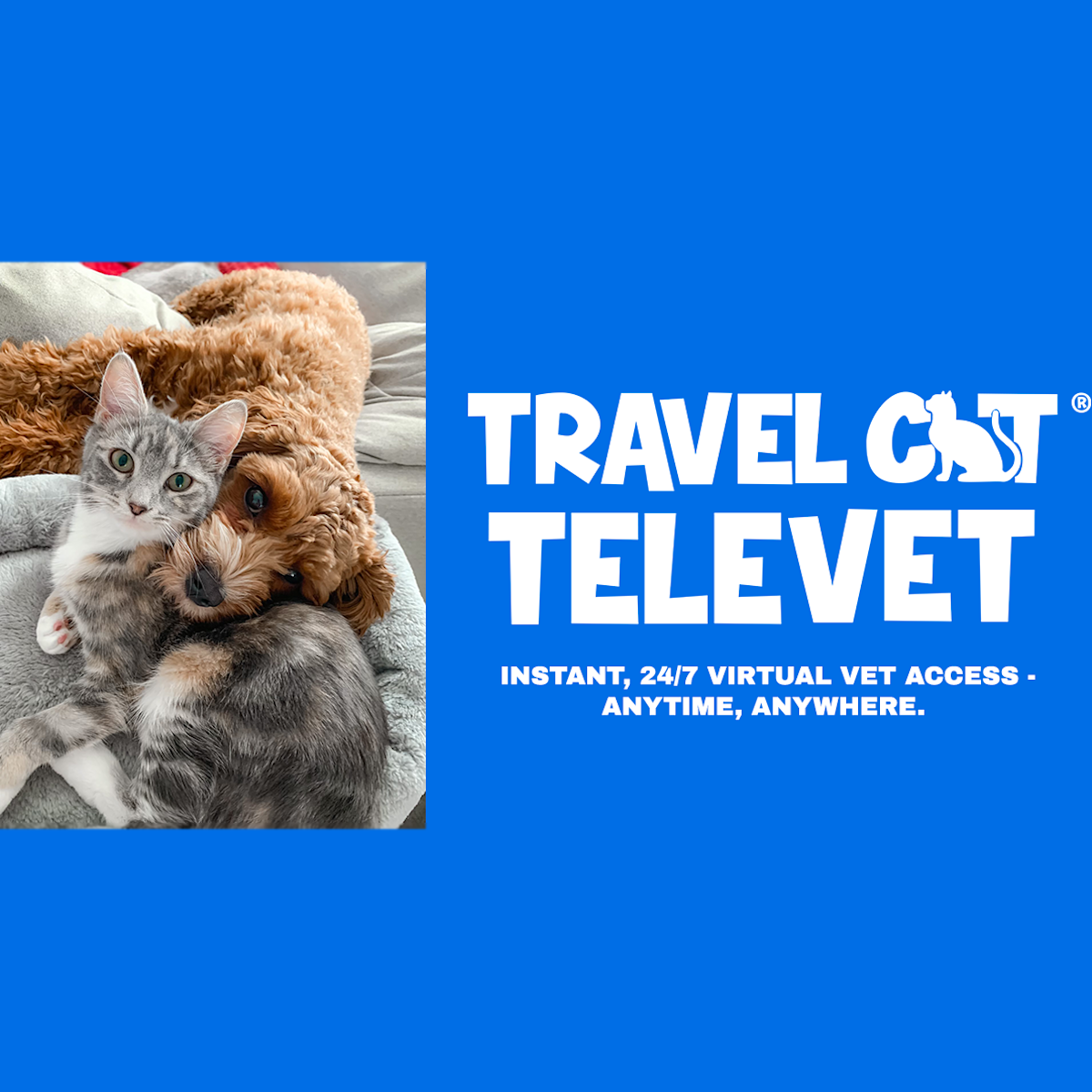 Travel Cat TeleVet
